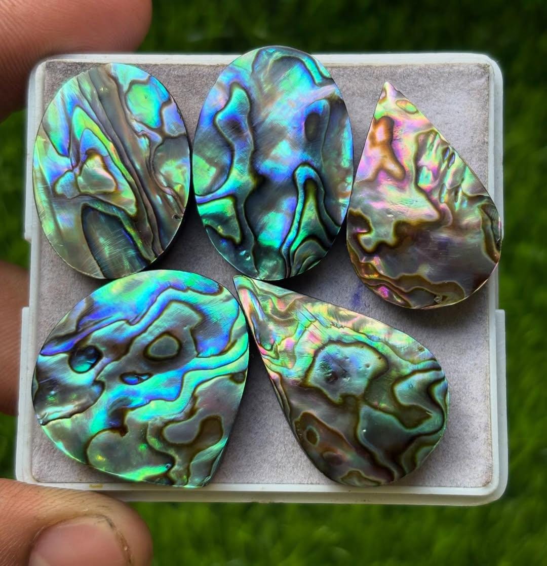 Natural Abalone Shell Mix Shape Cabochons Flat Back 28-33mm 5 Pieces - Etsy