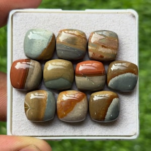 Natural Polychrome Jasper Cushion Cabochons - Loose Gemstone 10 Pieces ...