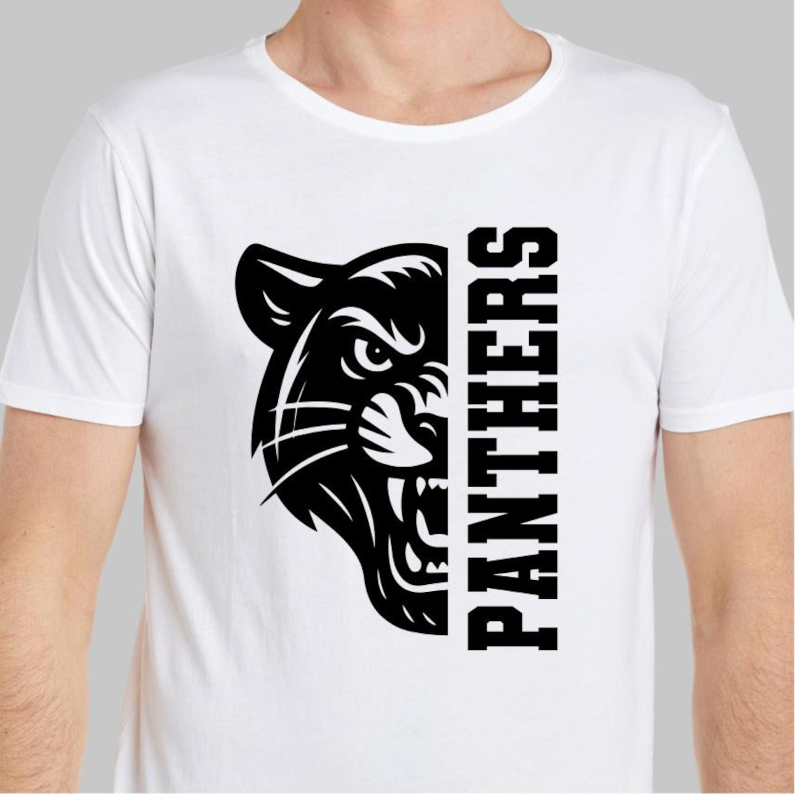 Panthers Svg Sports Team Logo SVG PNG, Panthers Mascot Baseball ...