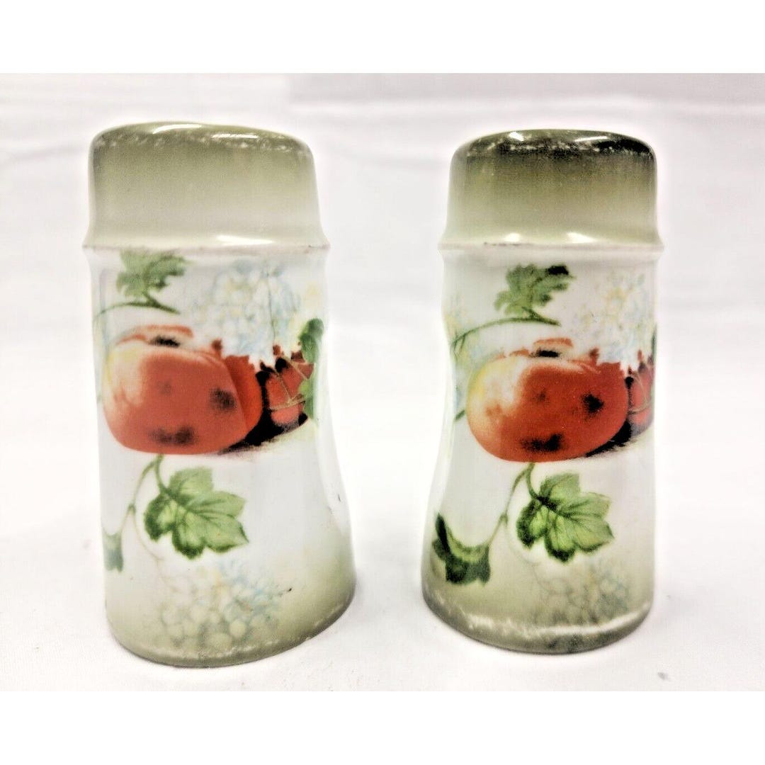 Vintage Favorite Bavaria Porcelain Hand Painted Signed Salt and Pepper ...