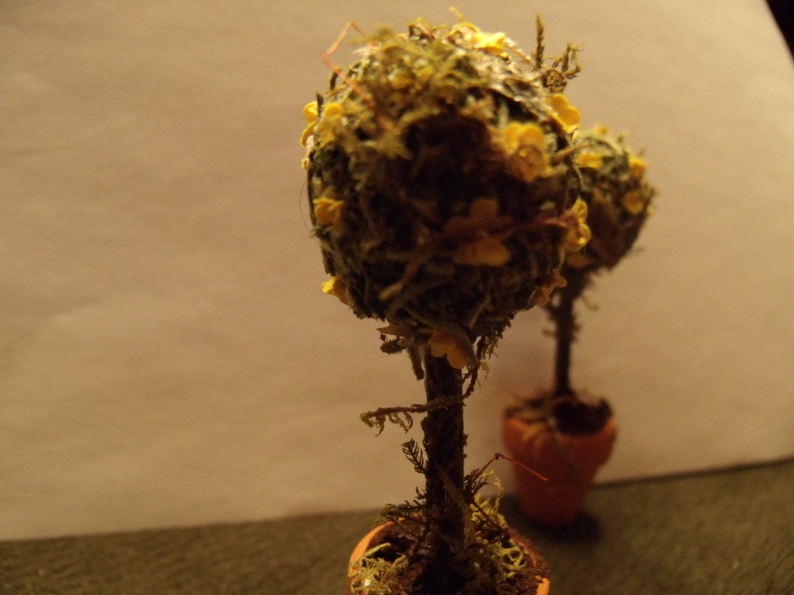 Miniature Topiary Trees - Etsy