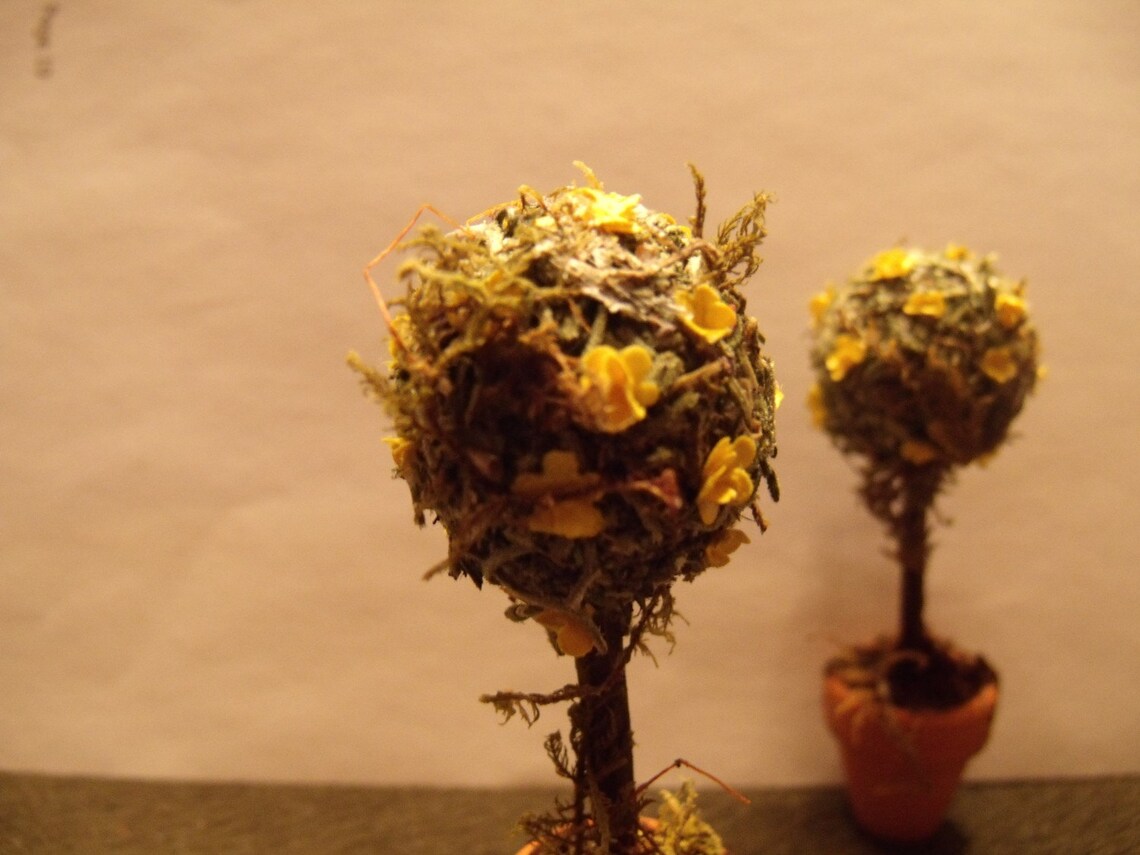 Miniature Topiary Trees - Etsy