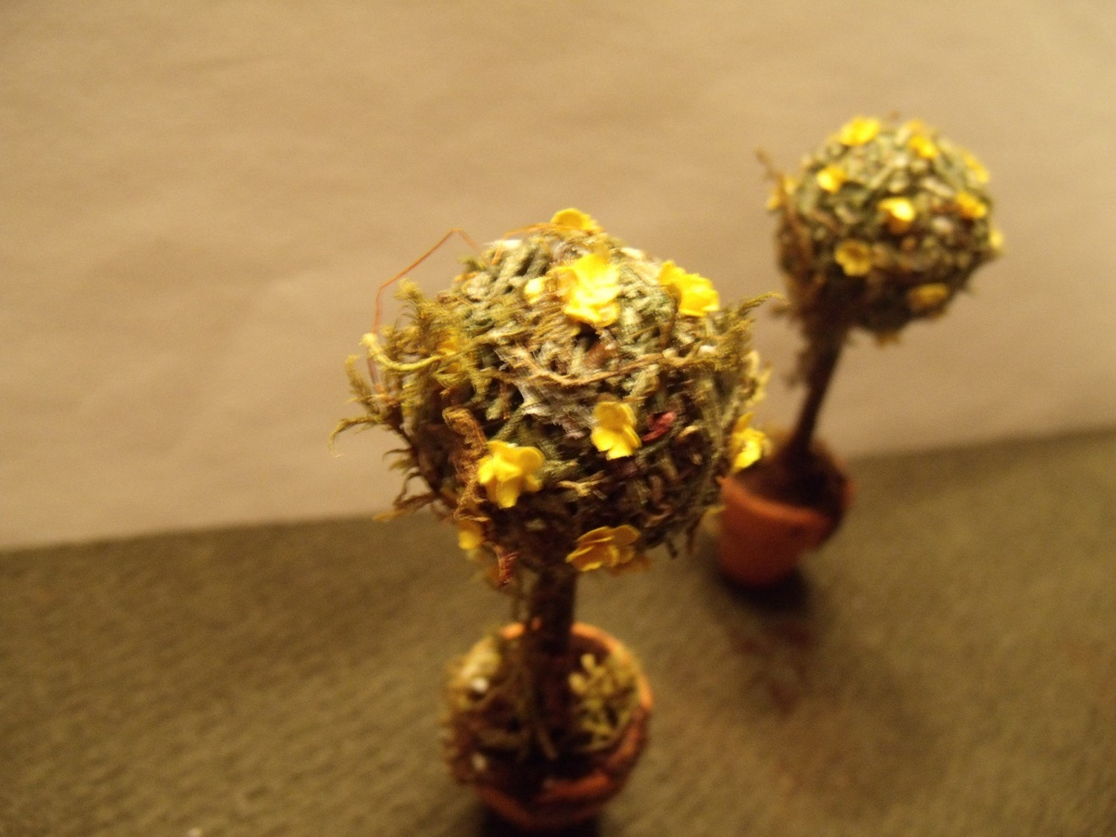 Miniature Topiary Trees - Etsy