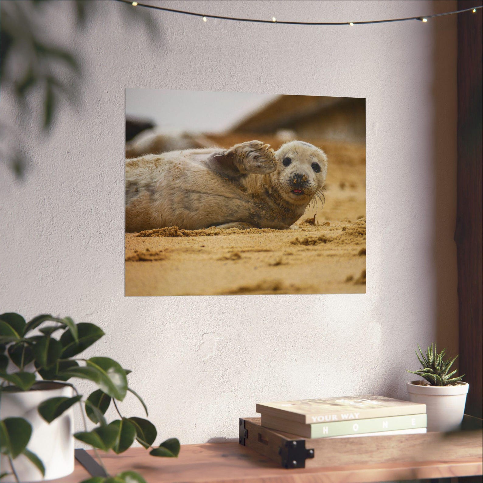 Adorable Waving Seal Pup – Coastal Nature Photography Print - Etsy