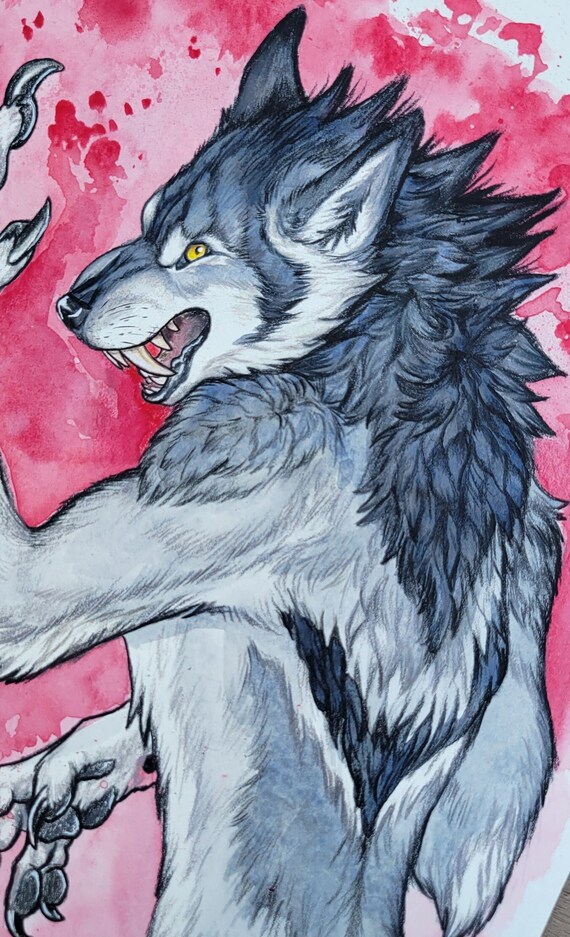 Anime Drawings Of Wolves In Pencil