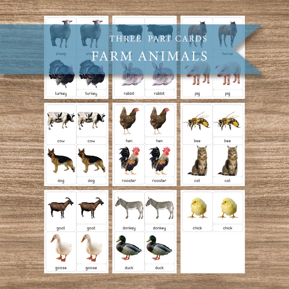 Printable Farm Animal Flashcards: Montessori Learning (digital Download ...