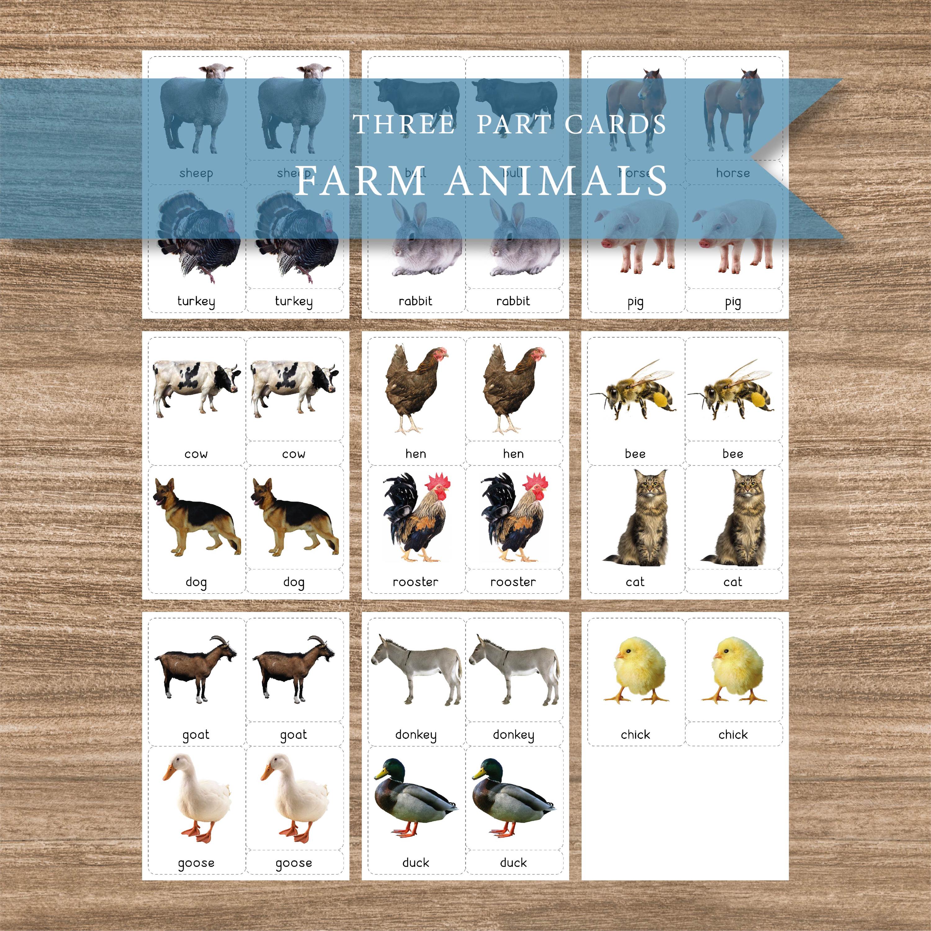 Printable Farm Animal Flashcards: Montessori Learning (digital Download ...