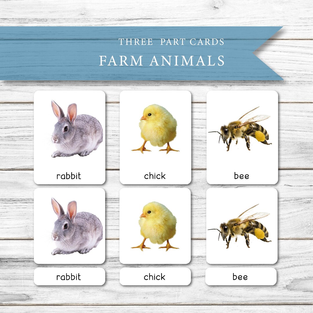 Printable Farm Animal Flashcards: Montessori Learning (digital Download ...