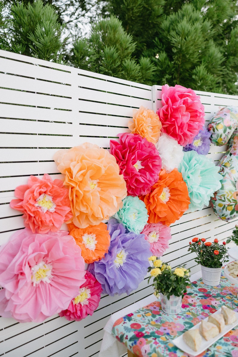 Tissue Paper Flower Wall Decor, Gracie Collection, Set of 10 - Etsy