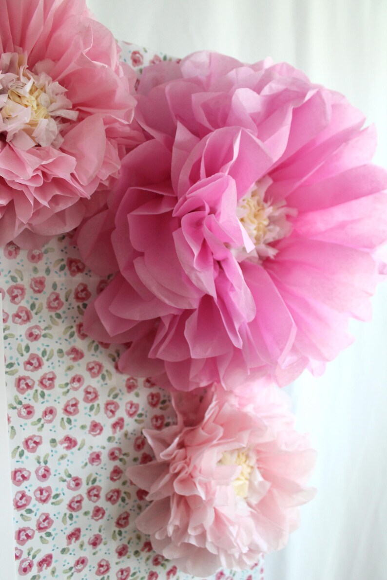 Blush Pink Paper Flower Wall Decor, Set of 5 - Etsy