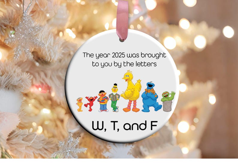 Funny 2025 Ornament WTF Letters Sarcastic Christmas Gift Year Review - Etsy