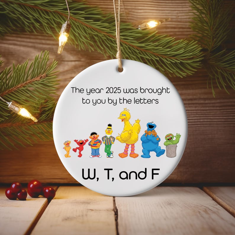 Funny 2025 Ornament WTF Letters Sarcastic Christmas Gift Year Review - Etsy