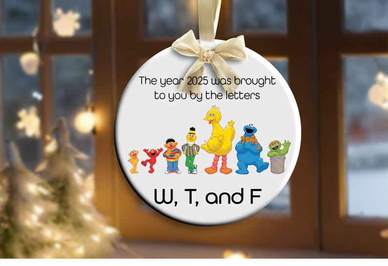 Funny 2025 Ornament WTF Letters Sarcastic Christmas Gift Year Review - Etsy