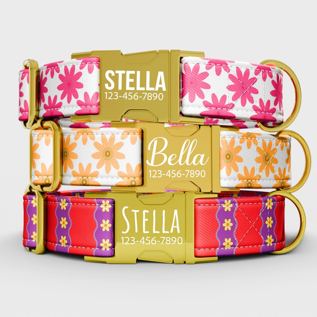 Daisy Dog Collar and Leash Set, Cute Floral Pet Collar With White ...