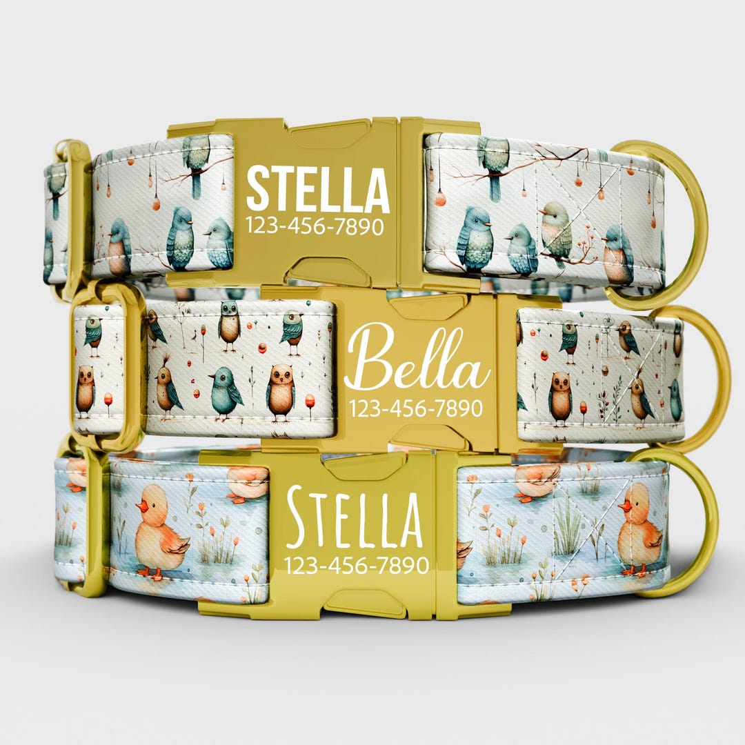 Little Birds and Baby Ducks Dog Collar and Leash Set, Cute Animal ...