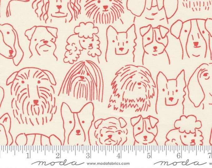 Dog Daze by Stacy Iest Hsu - Dog Faces - White - Moda 20842 11 - Etsy
