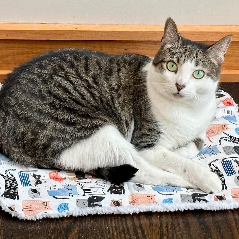 Handmade Catnip Bed - Etsy