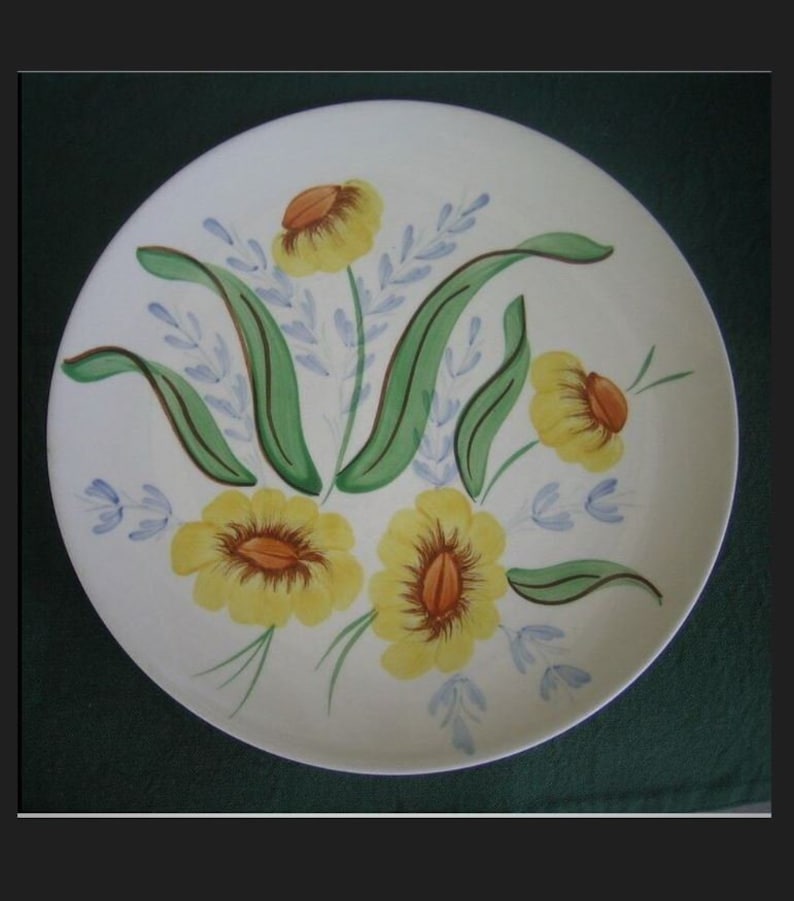 BLUE RIDGE, Southern Potteries Dinner Plate 9 1/4" Plate - "spring ...