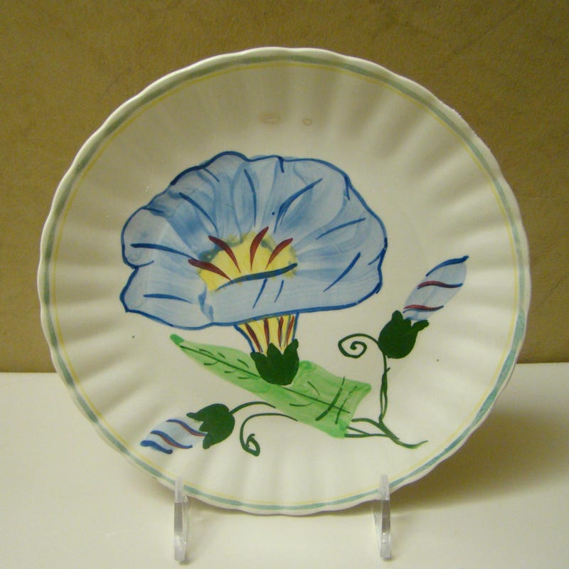 Blue Ridge Plates - Etsy