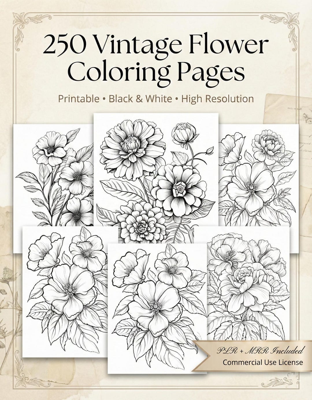250 Vintage Flower Coloring Pages, Printable Floral Designs (PLR & MRR ...