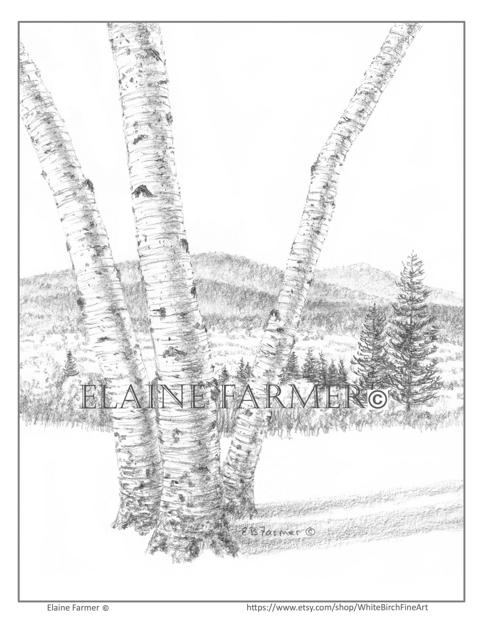 Birch Trees Mountain Field Printable Coloring Pages W/instructions for ...