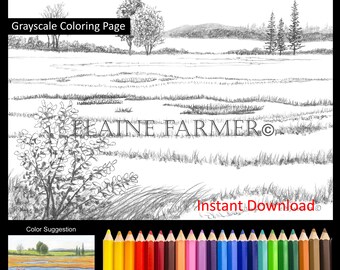 Marsh Coloring Page | Etsy UK