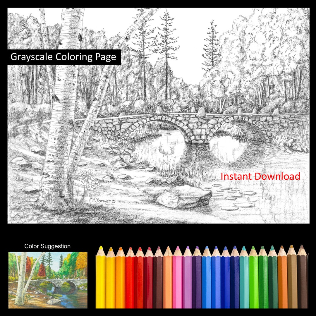 Stone Bridge Coloring Page With Instruction: Grayscale Rural Landscape ...