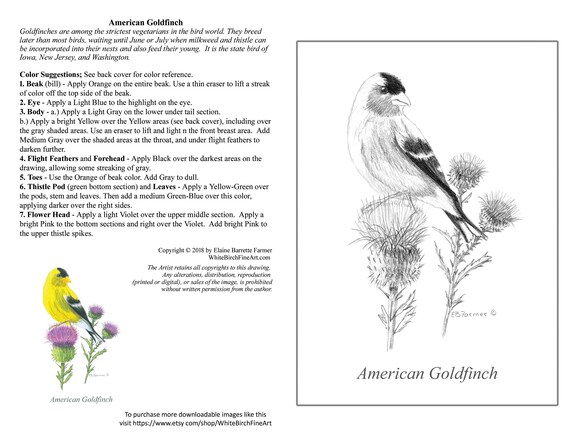 Goldfinch Bird Coloring Page