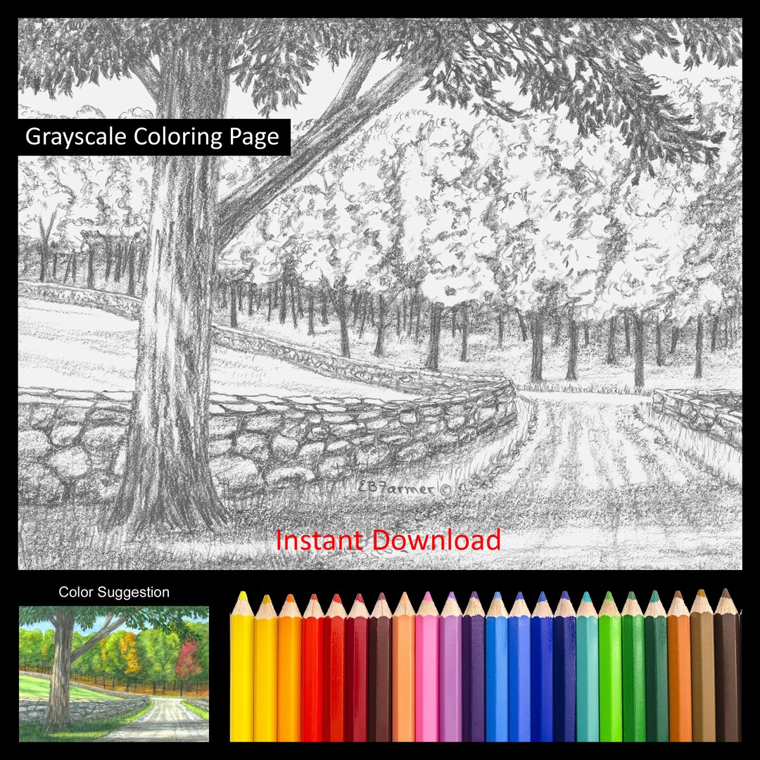 Country Path Stone Wall Path Coloring Pages W/instructions for Both 5x7 ...