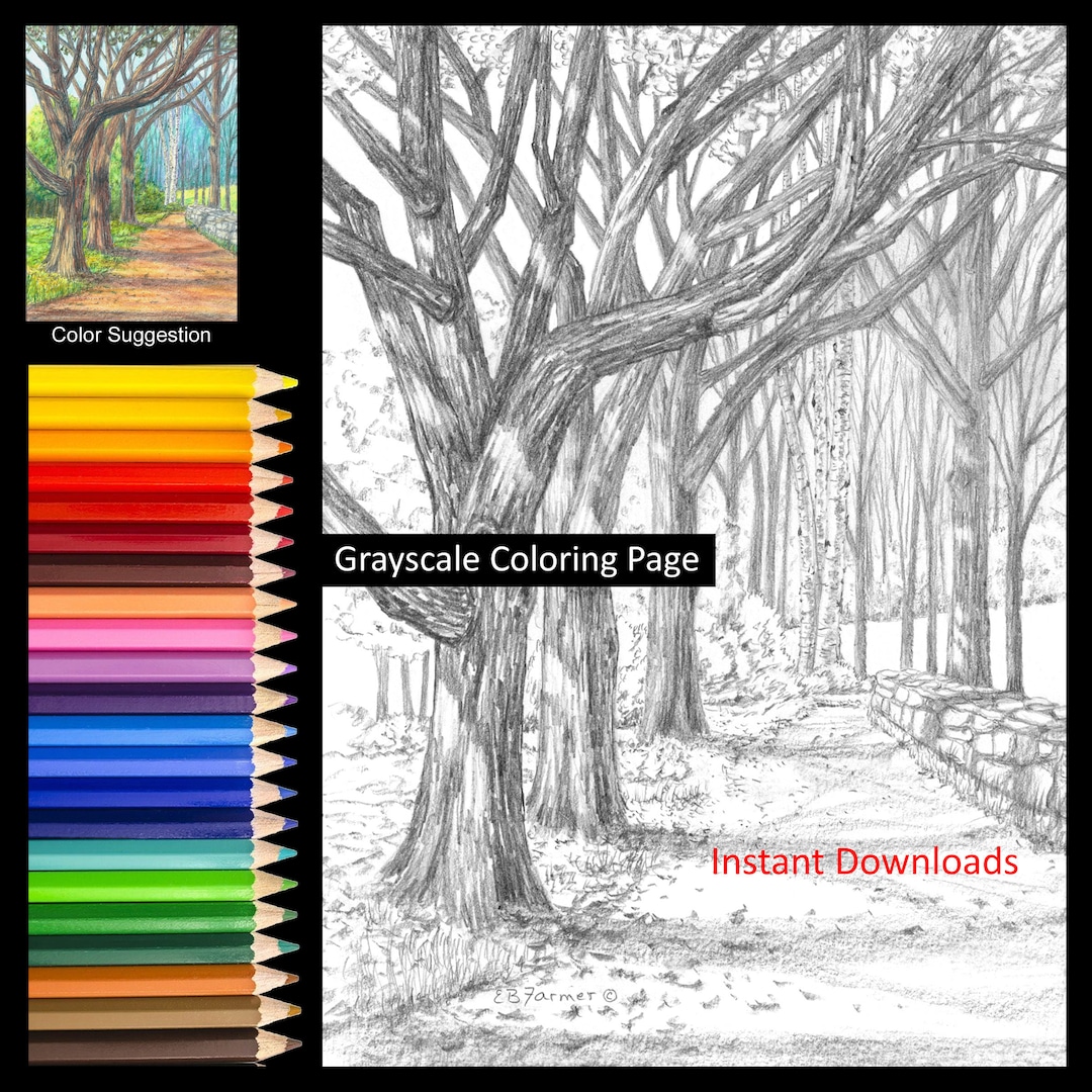 Old Rural Path Stone Wall Scene Coloring Pages W/instructions for 5x7 ...