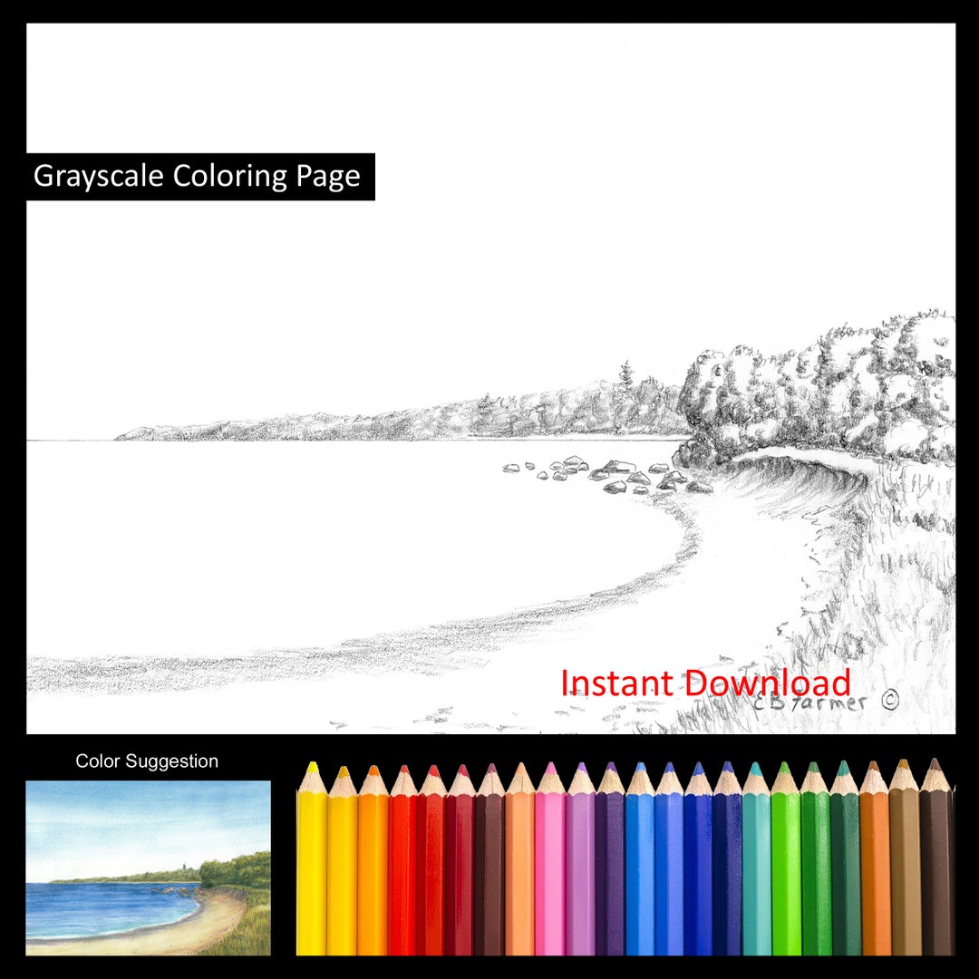 Beach Seascape Coloring Page With Instruction: Coastal Dune Art ...