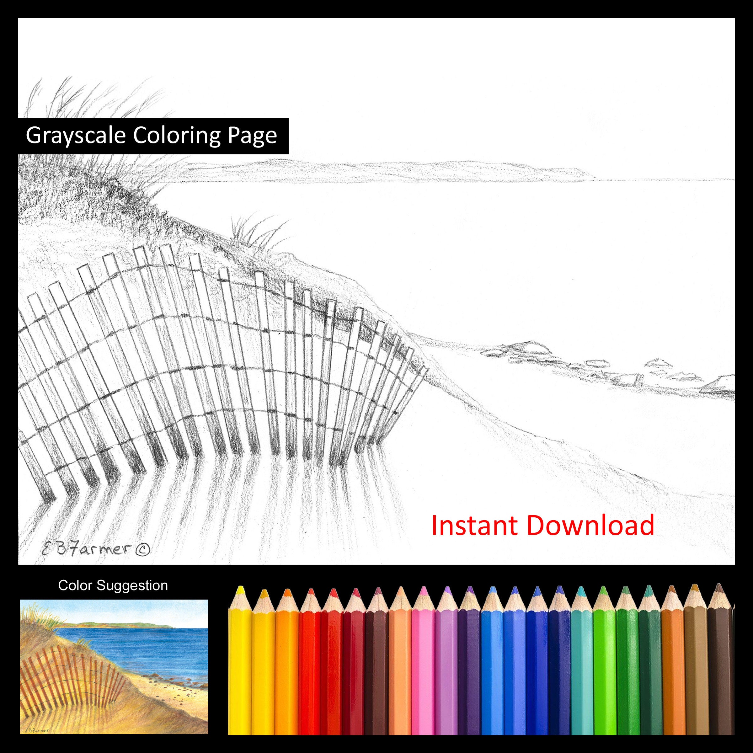 Sand Dune Coloring Page