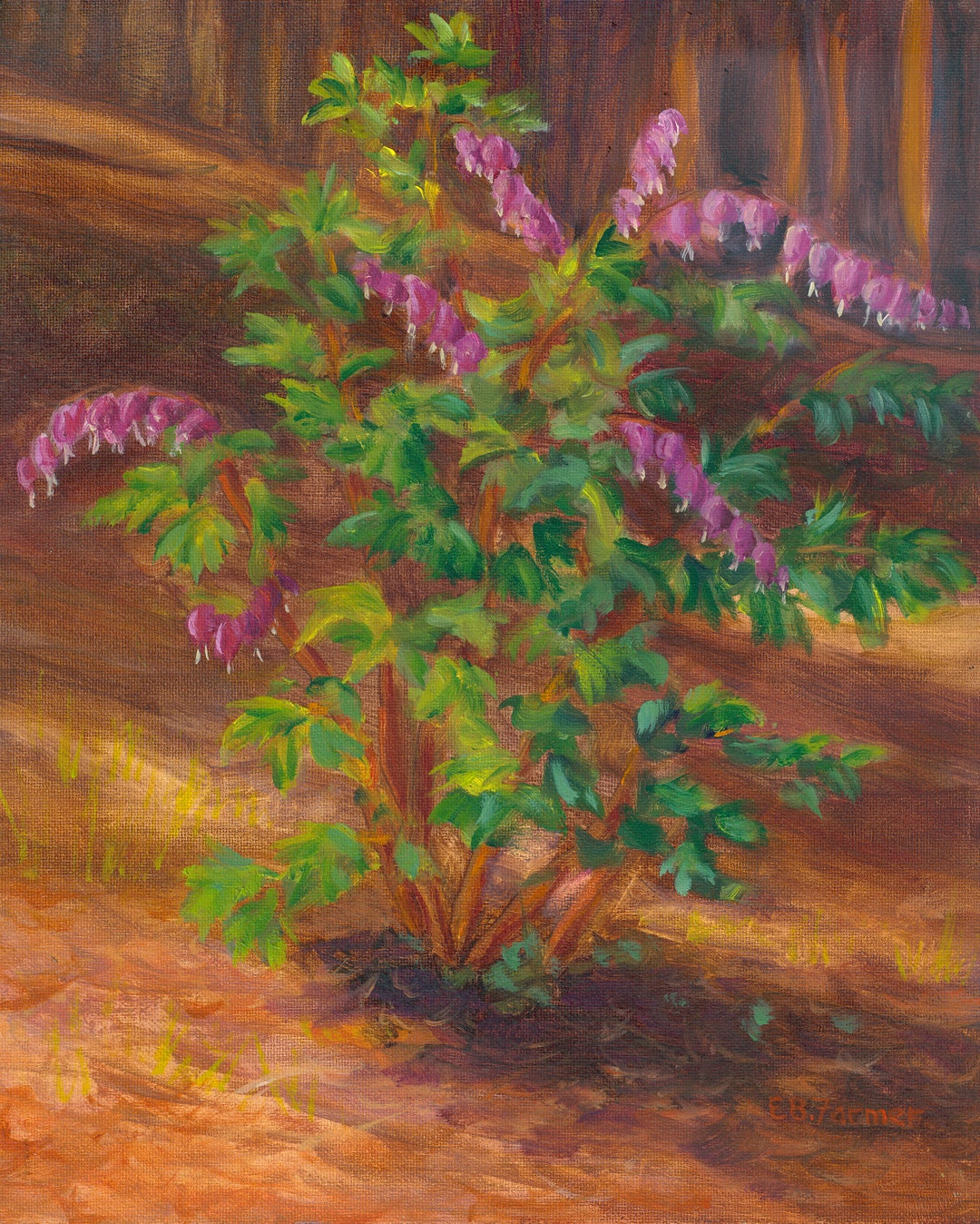 Bleeding Hearts 8x10 Flowers in Rustic Woods Landscape Scenery Country ...