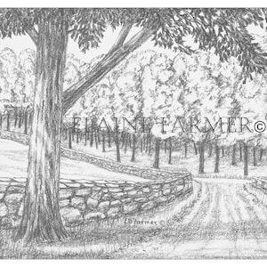 Country Path Stone Wall Path Coloring Pages W/instructions for Both 5x7 ...