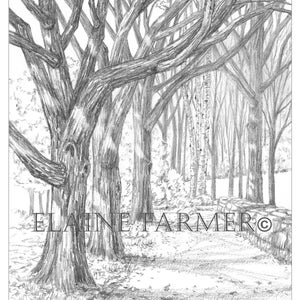 Old Rural Path Stone Wall Scene Coloring Pages W/instructions for 5x7 ...