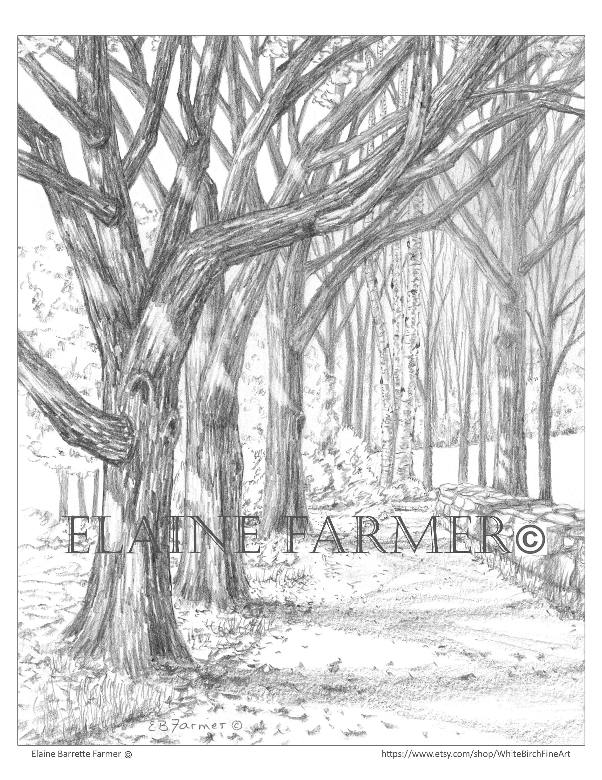 Old Rural Path Stone Wall Scene Coloring Pages W/instructions - Etsy