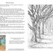 Old Rural Path Stone Wall Scene Coloring Pages W/instructions for 5x7 ...