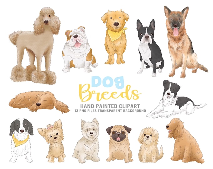 Watercolor Dog Breeds Clipart Dog Breeds Clipart Bundle Mixed Dog ...
