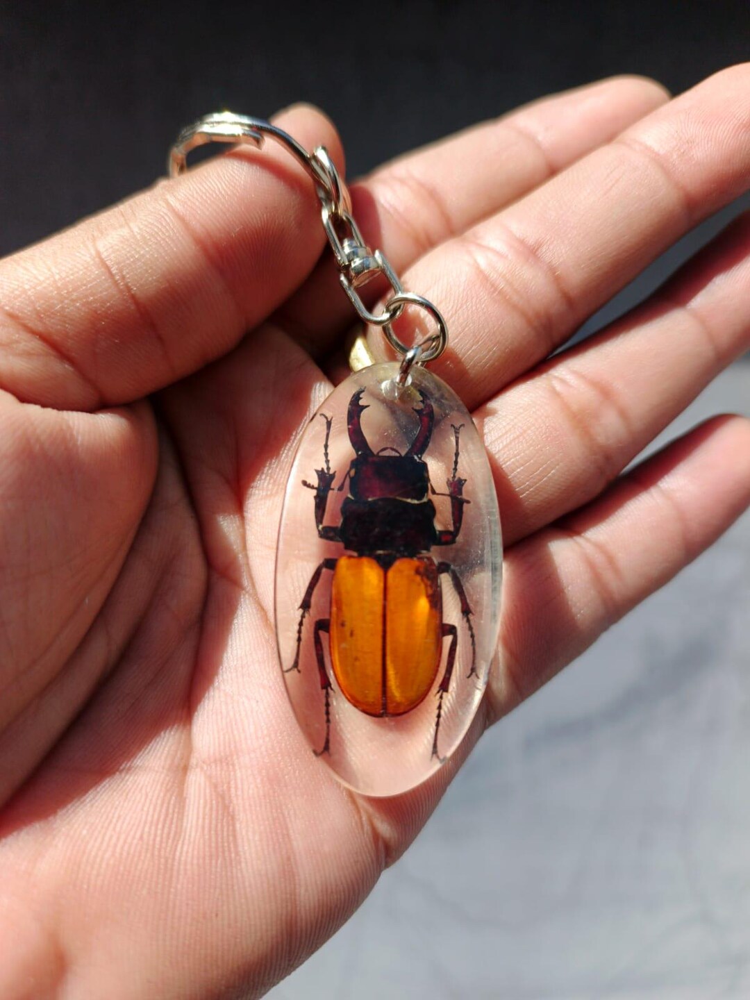 Stag Beetle Resin Keychain. Brown Insect Keyrings. Handicraft - Etsy