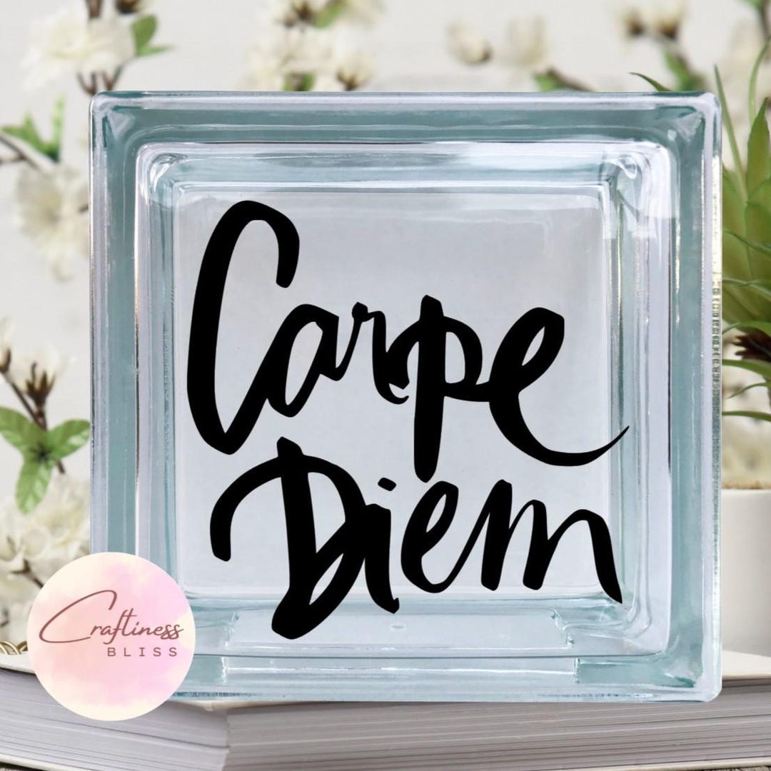 Carpe Diem DIY Custom Vinyl Decal Inspirational Glass Block Car Decal ...