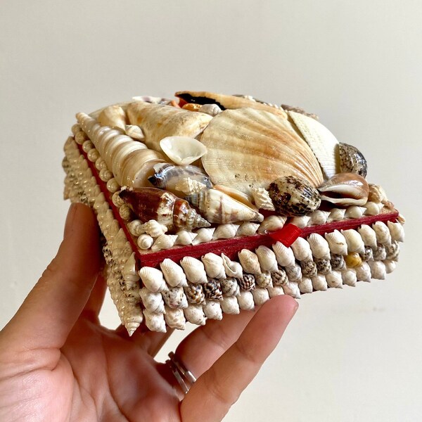 Seashell Jewelry Box - Etsy