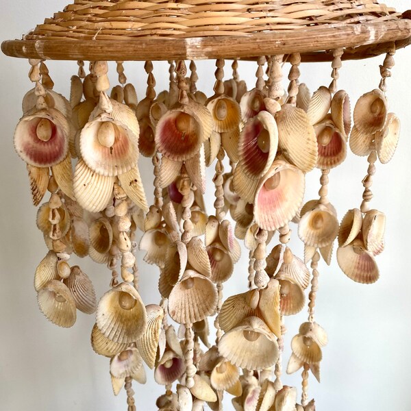 Seashell Chandelier - Etsy
