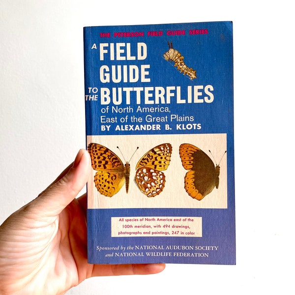 Vintage Butterfly Field Guide - Etsy