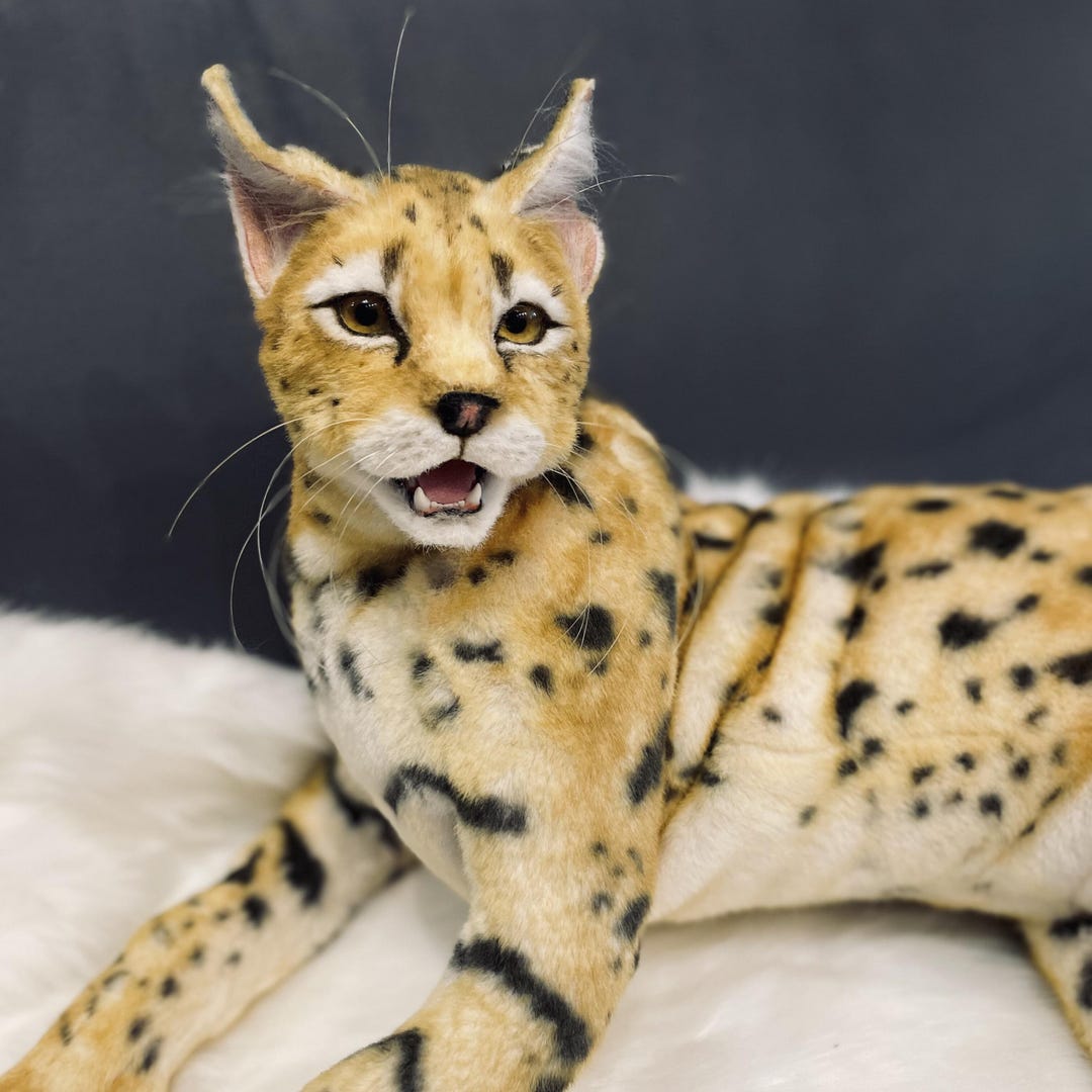 Realistic Serval Cat Toy, Faux Fur Handmade Art Doll (26 Inches) - Etsy