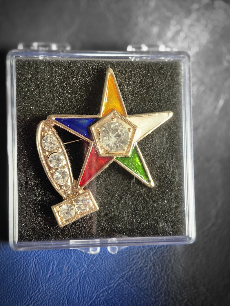 Eastern Star OES Worthy Matron / Past Matron Pin - Etsy
