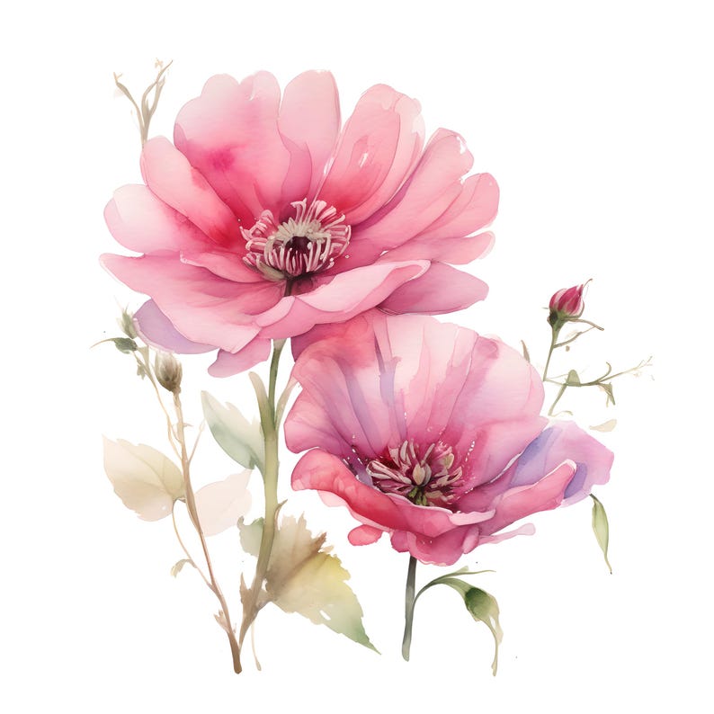 Watercolor Floral Clipart: Abstract Boho Flowers (digital Download) - Etsy