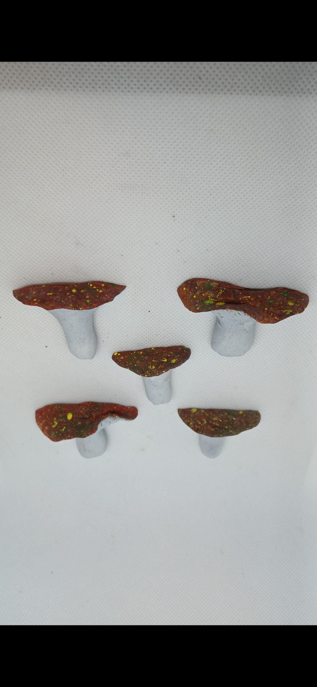 Mushroom Magnets Set of 5 - Etsy