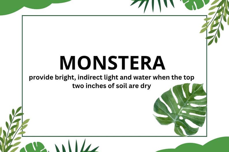 Printable Plant Labels Sheet | Monstera Pothos Peace Lily and More ...