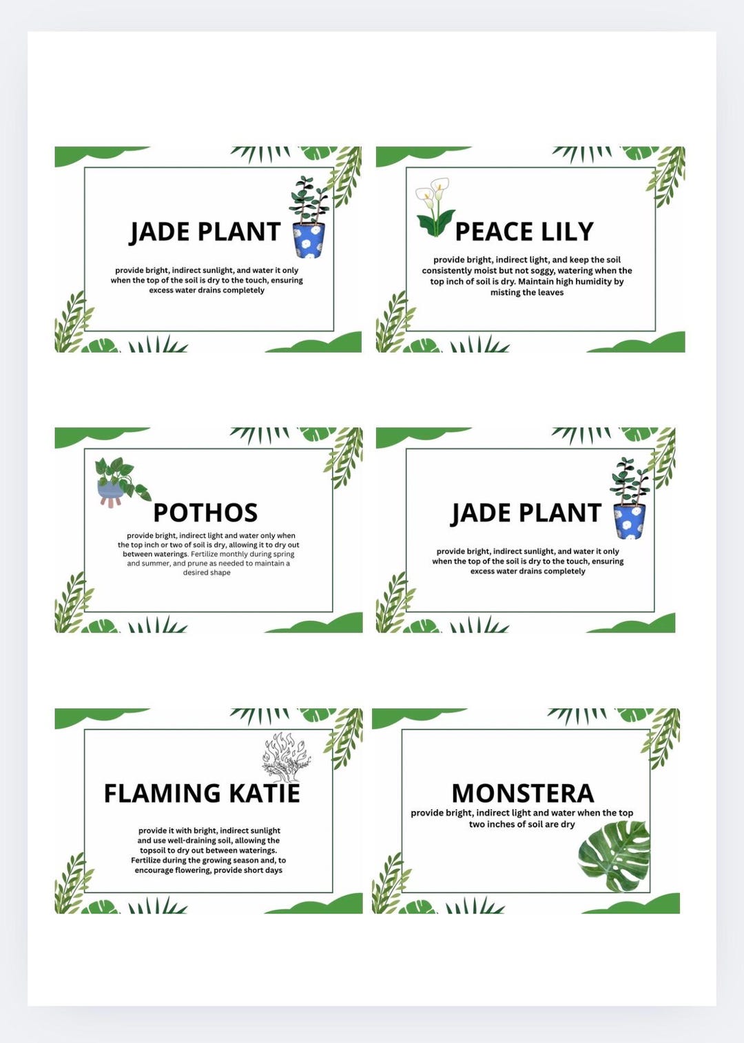 Printable Plant Labels Sheet | Monstera Pothos Peace Lily and More ...