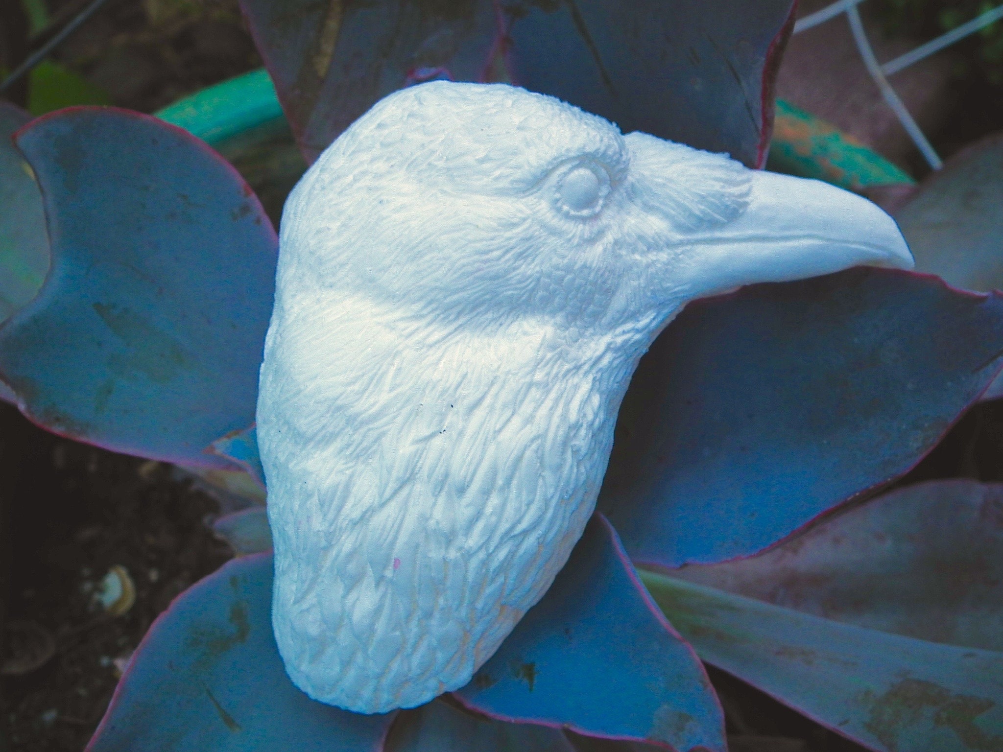 Raven Bust Resin Sculpture for Decor Crafts Paint Your Own | Etsy